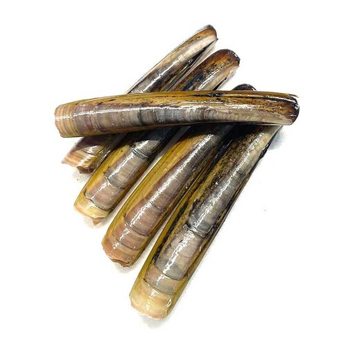 COUTEAU DE MER - par 1 kg - Hermès Gastronomie